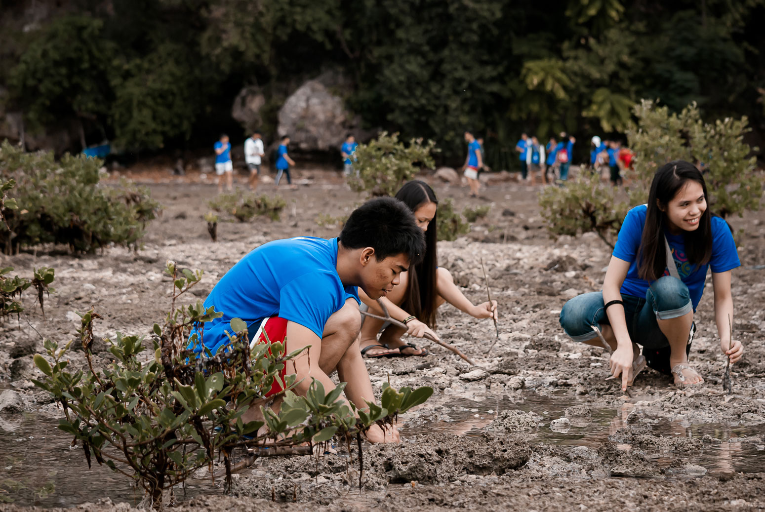 UB NSTP CWTS Studes Go Mangrove Planting